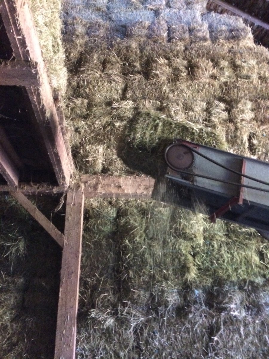 Small Square Hay - General Chat - Red Power Magazine Community