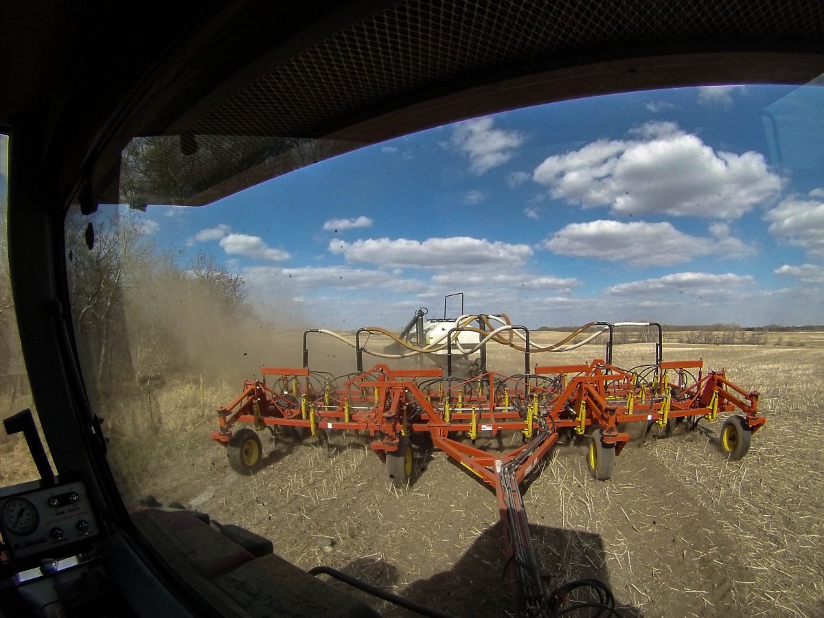 2019 Crop Pics - General Chat - Red Power Magazine Community