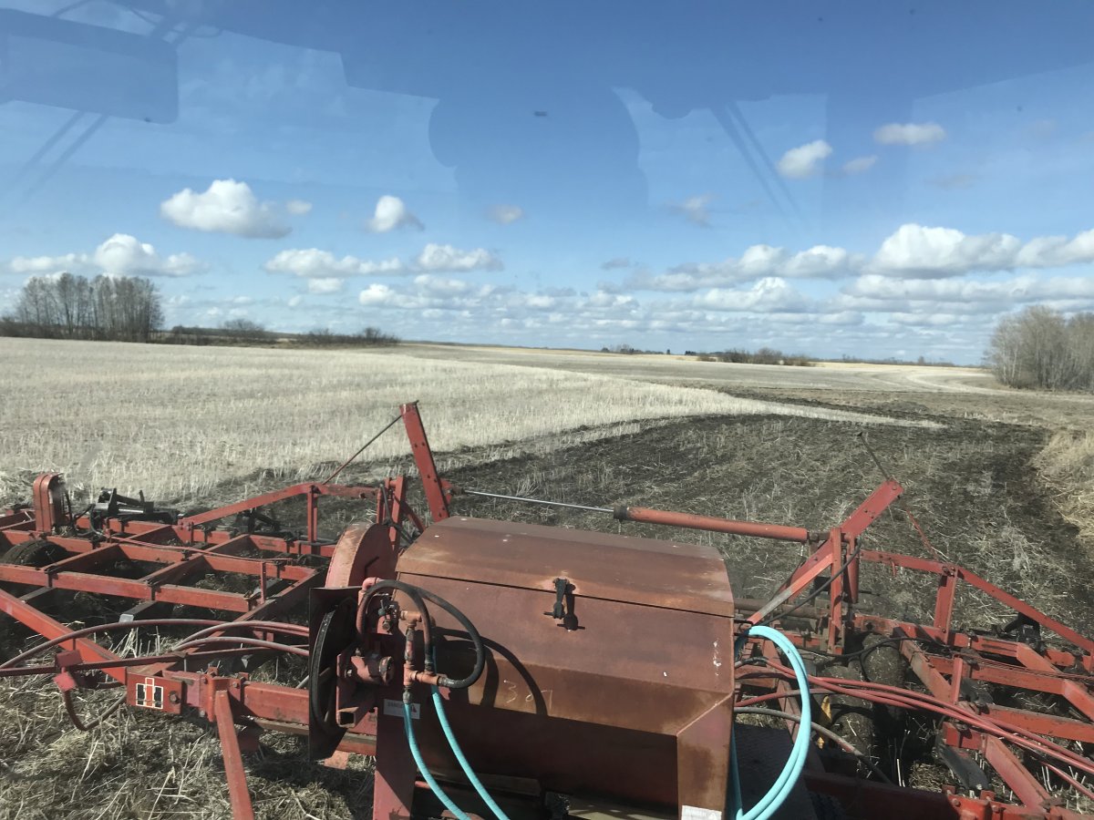 2019 Crop Pics - General Chat - Red Power Magazine Community