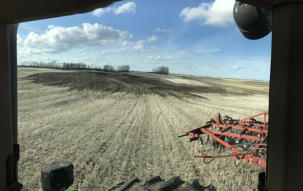 2019 Crop Pics - General Chat - Red Power Magazine Community