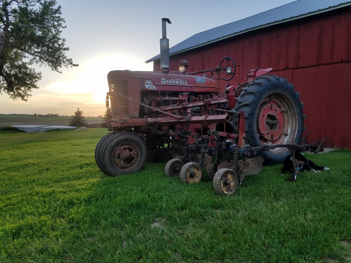 Let's see pics of your ih working this spring - Page 8 - General IH ...