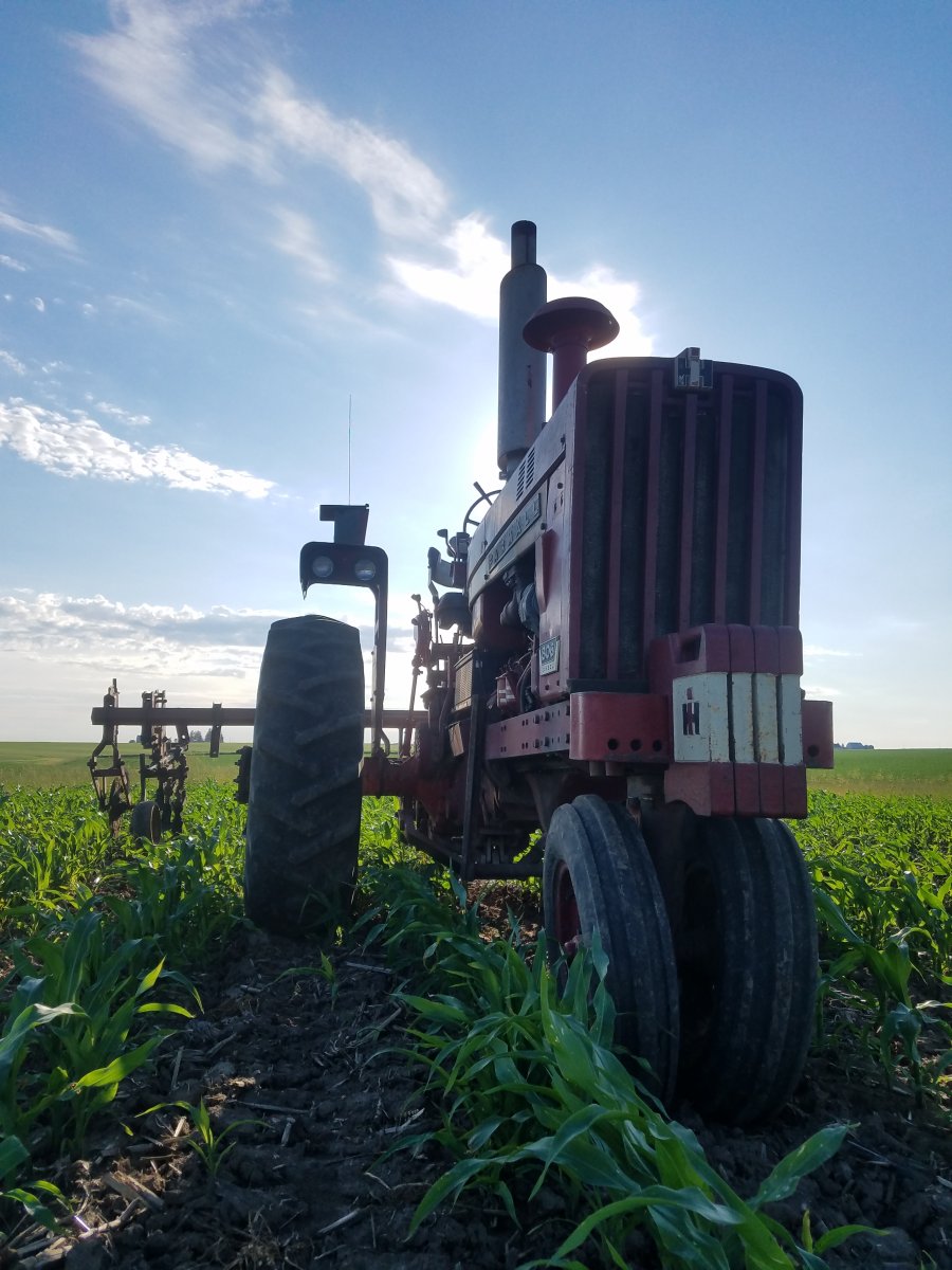 Let's see pics of your ih working this spring - Page 10 - Technical IH ...