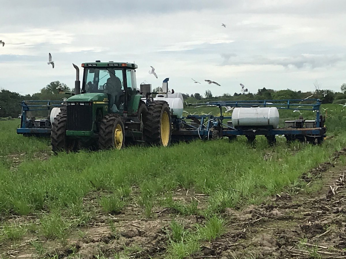Pulling the plug on corn - General Chat - Red Power Magazine Community