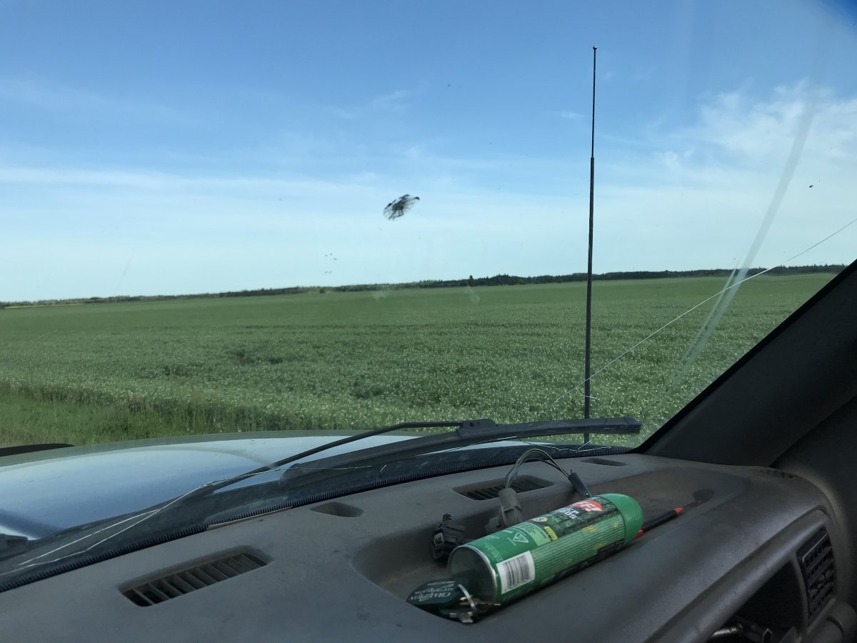 2019 Crop Pics - Page 9 - General Chat - Red Power Magazine Community