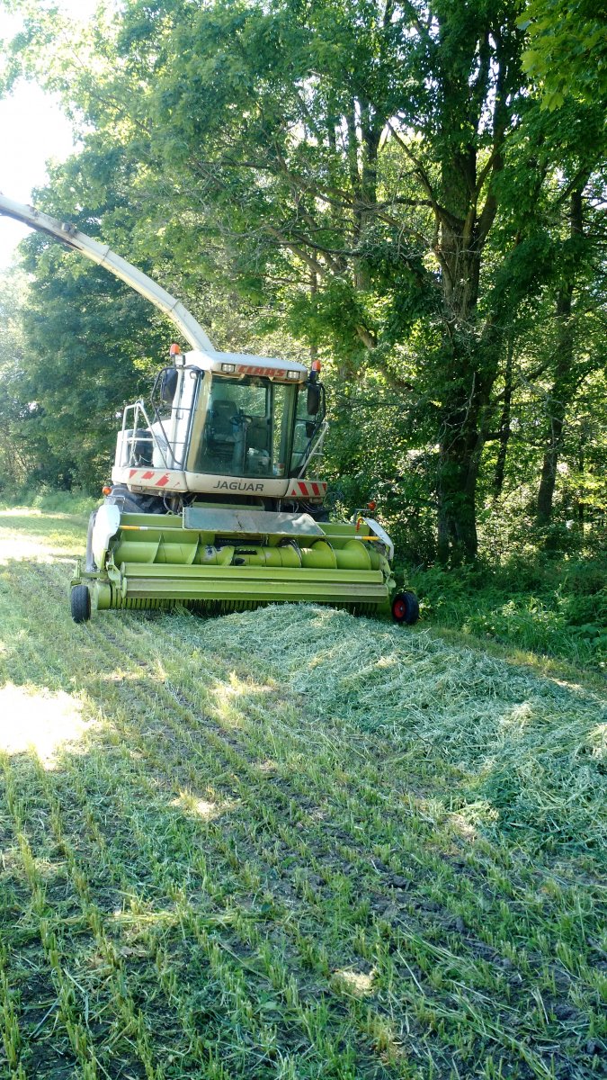 pull type forage choppers? - General Chat - Red Power Magazine Community