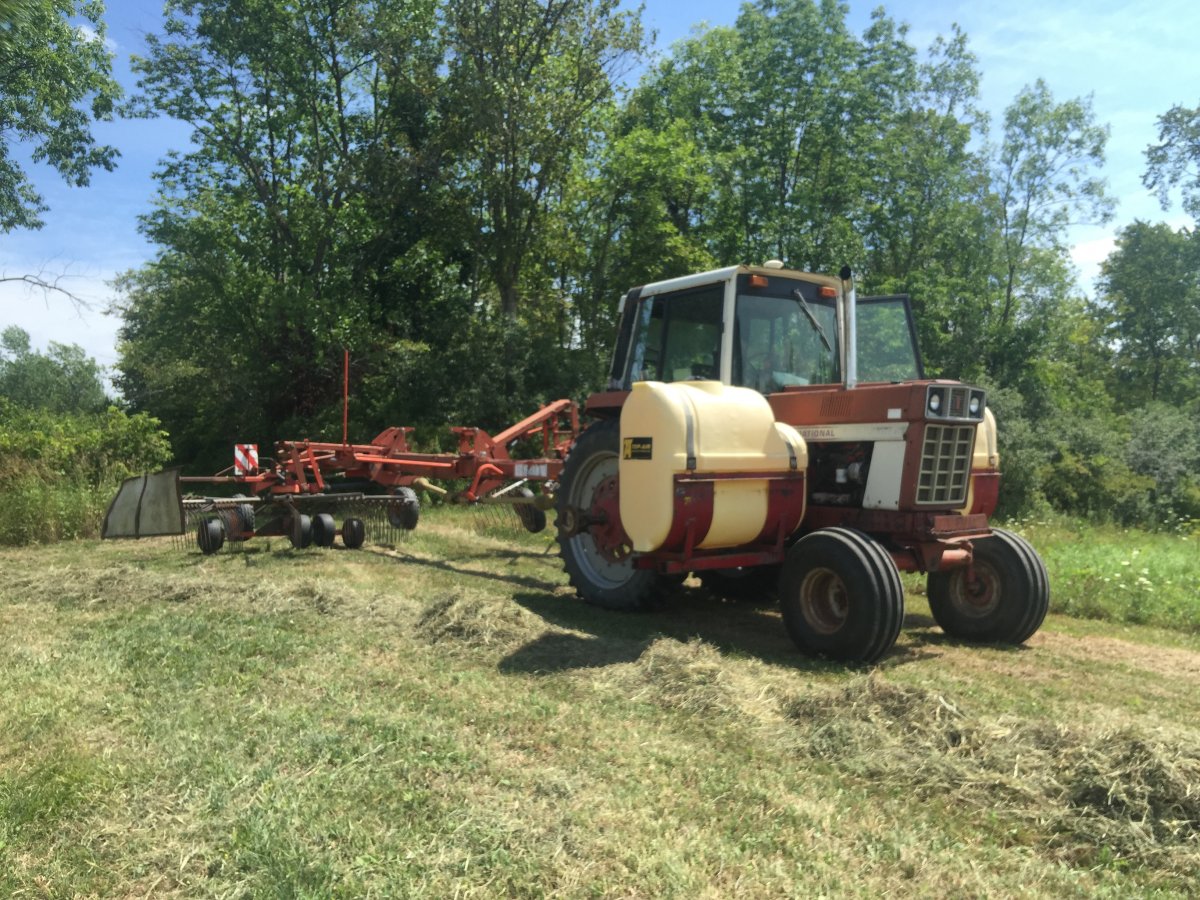 Let's see pics of your ih working this spring - Page 16 - Technical IH ...