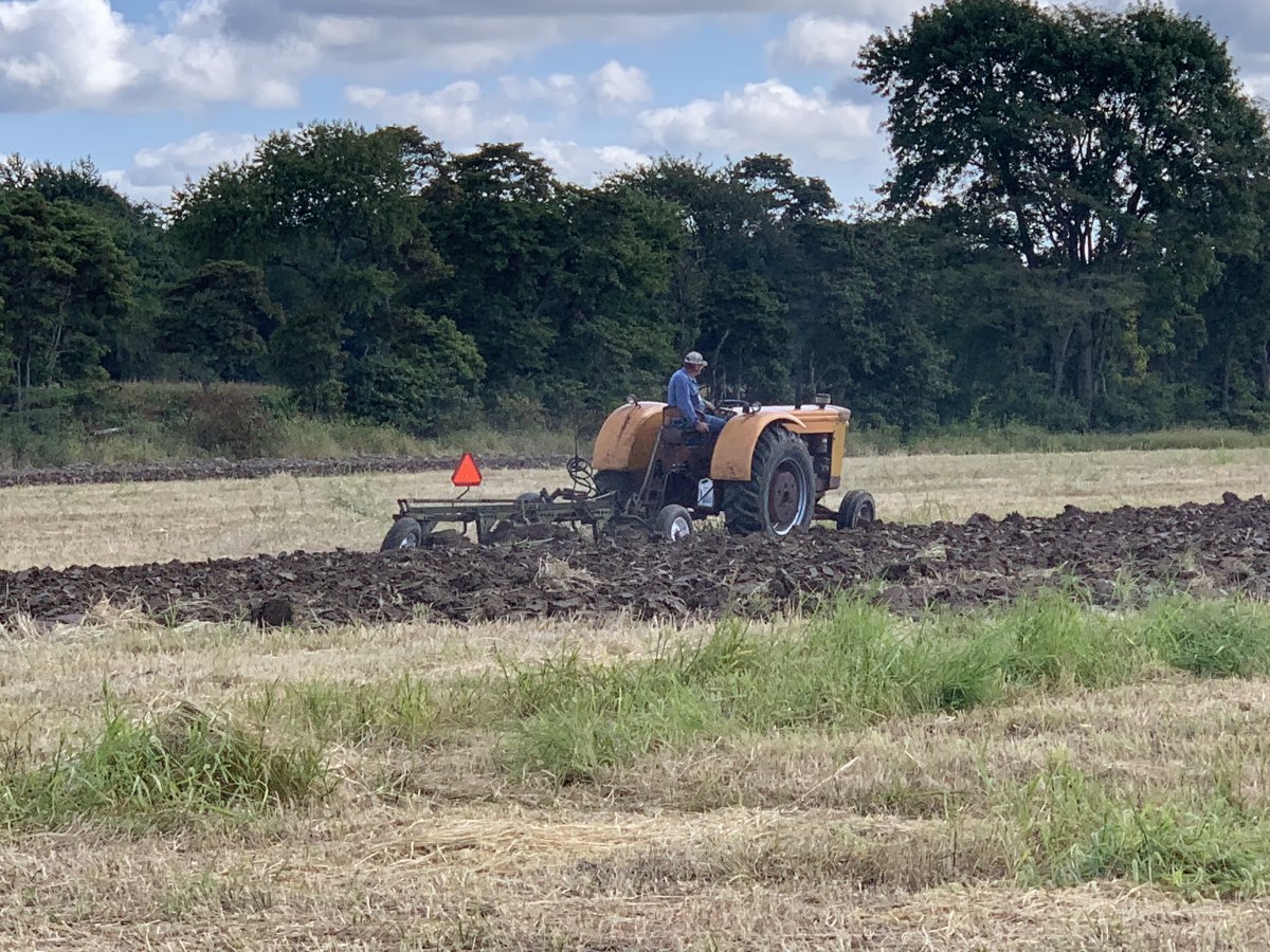 Local plow day pics - General Chat - Red Power Magazine Community