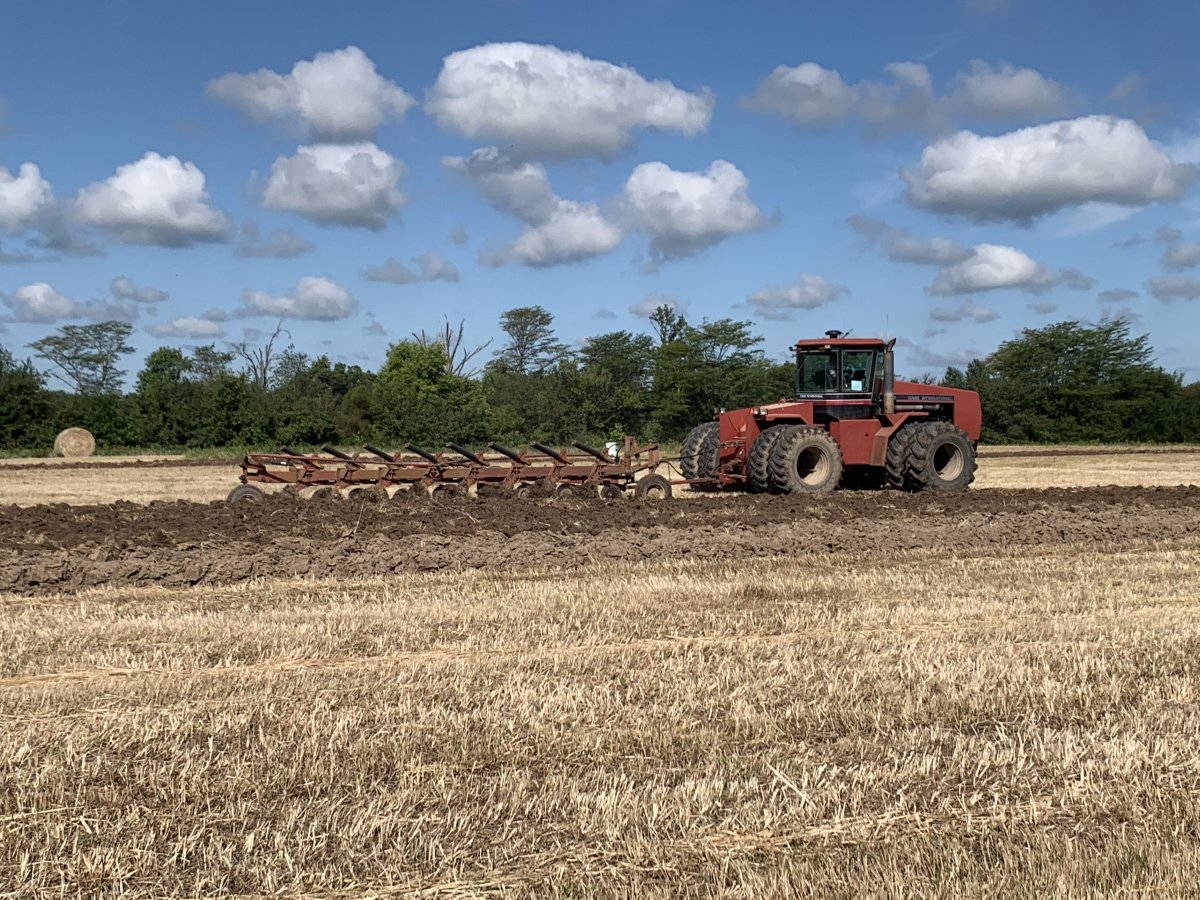 Local plow day pics - General Chat - Red Power Magazine Community