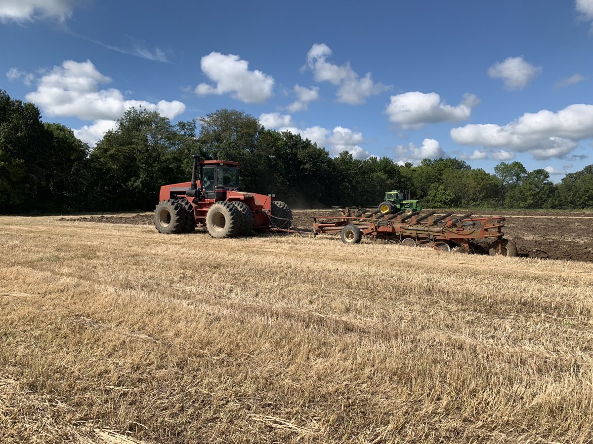Local plow day pics - General Chat - Red Power Magazine Community