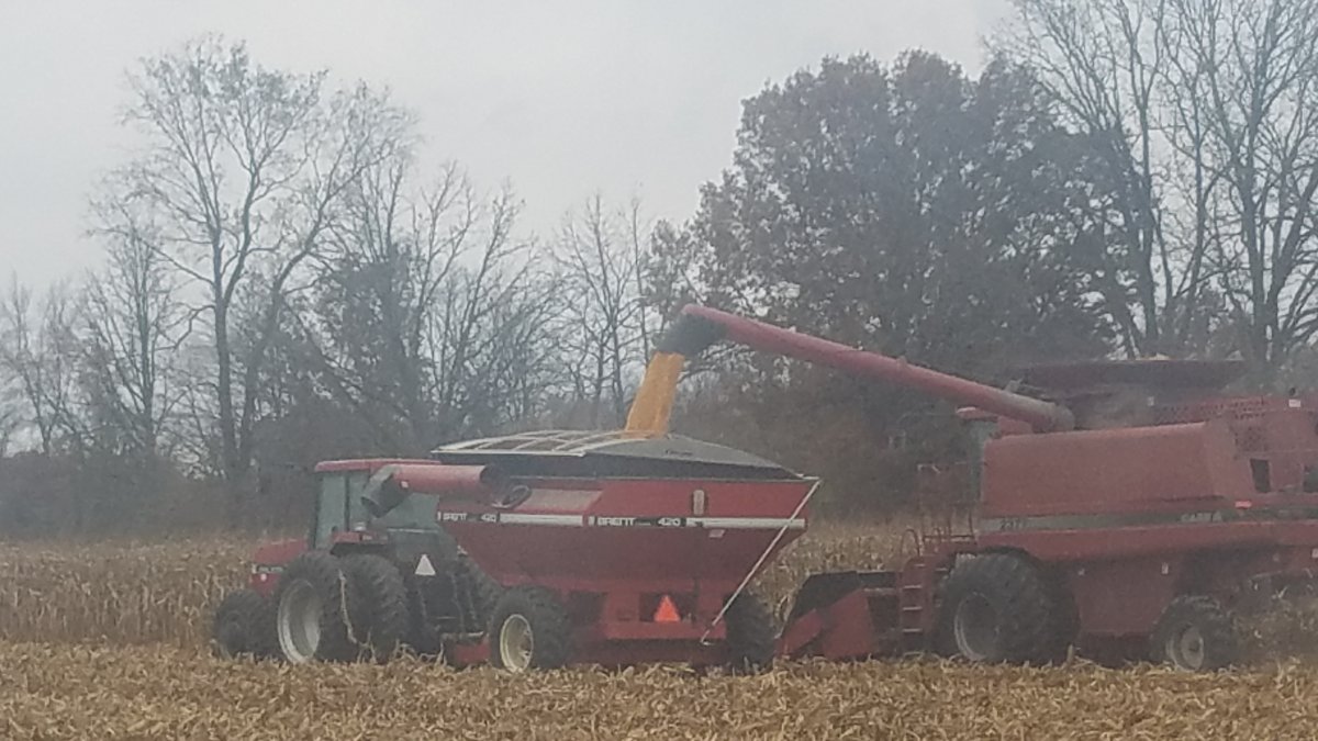 Grain cart size for boxcar magnum - General Chat - Red Power Magazine ...