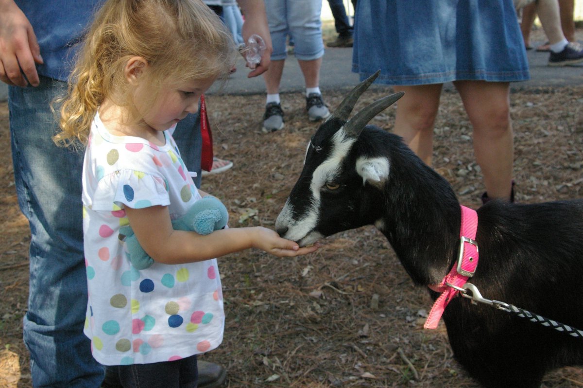 Goat festival with lingerie contest - General Chat - Red Power Magazine ...