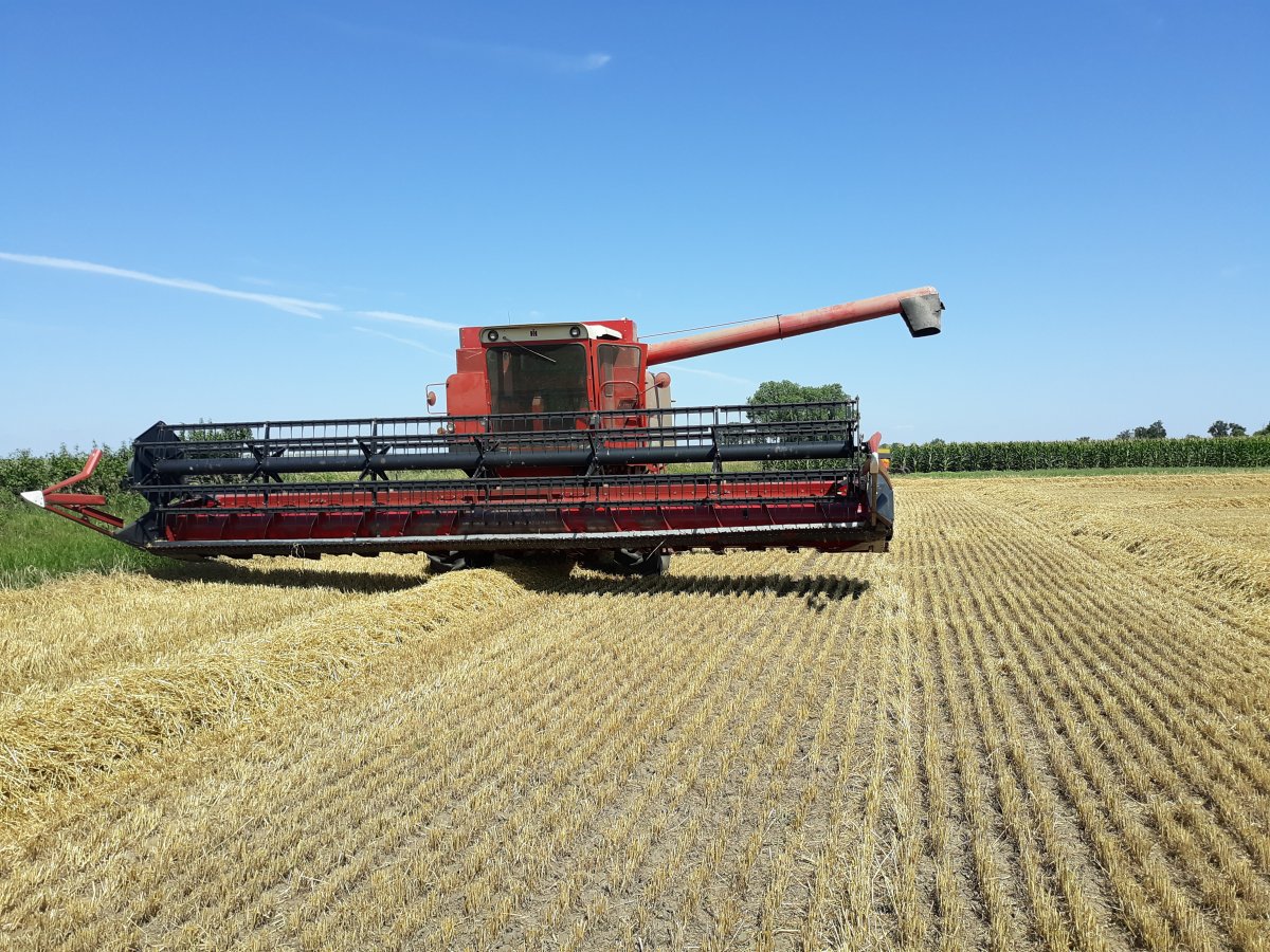 20-25 ft draper header on 1480/1460? - Technical IH Talk - Red Power ...