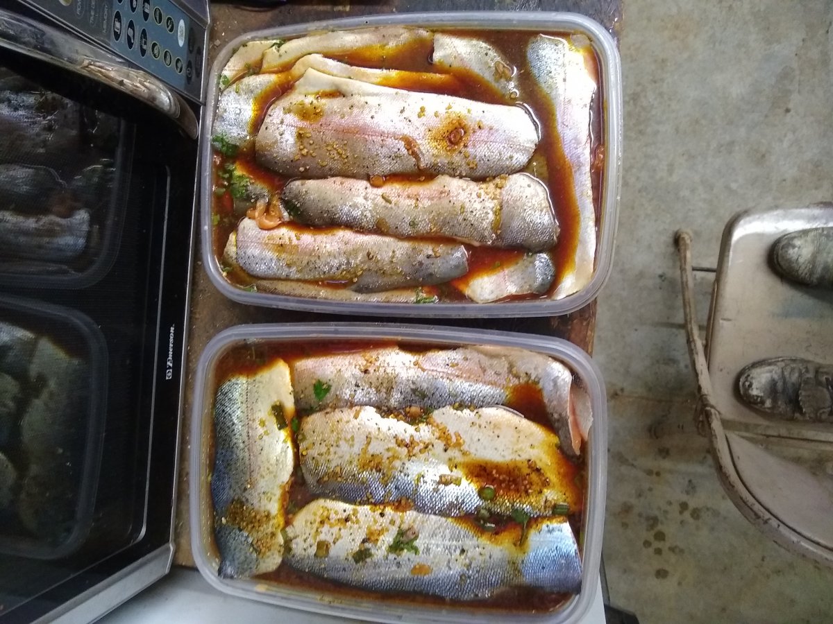 Smoked fish fillets, pics - General Chat - Red Power Magazine Community