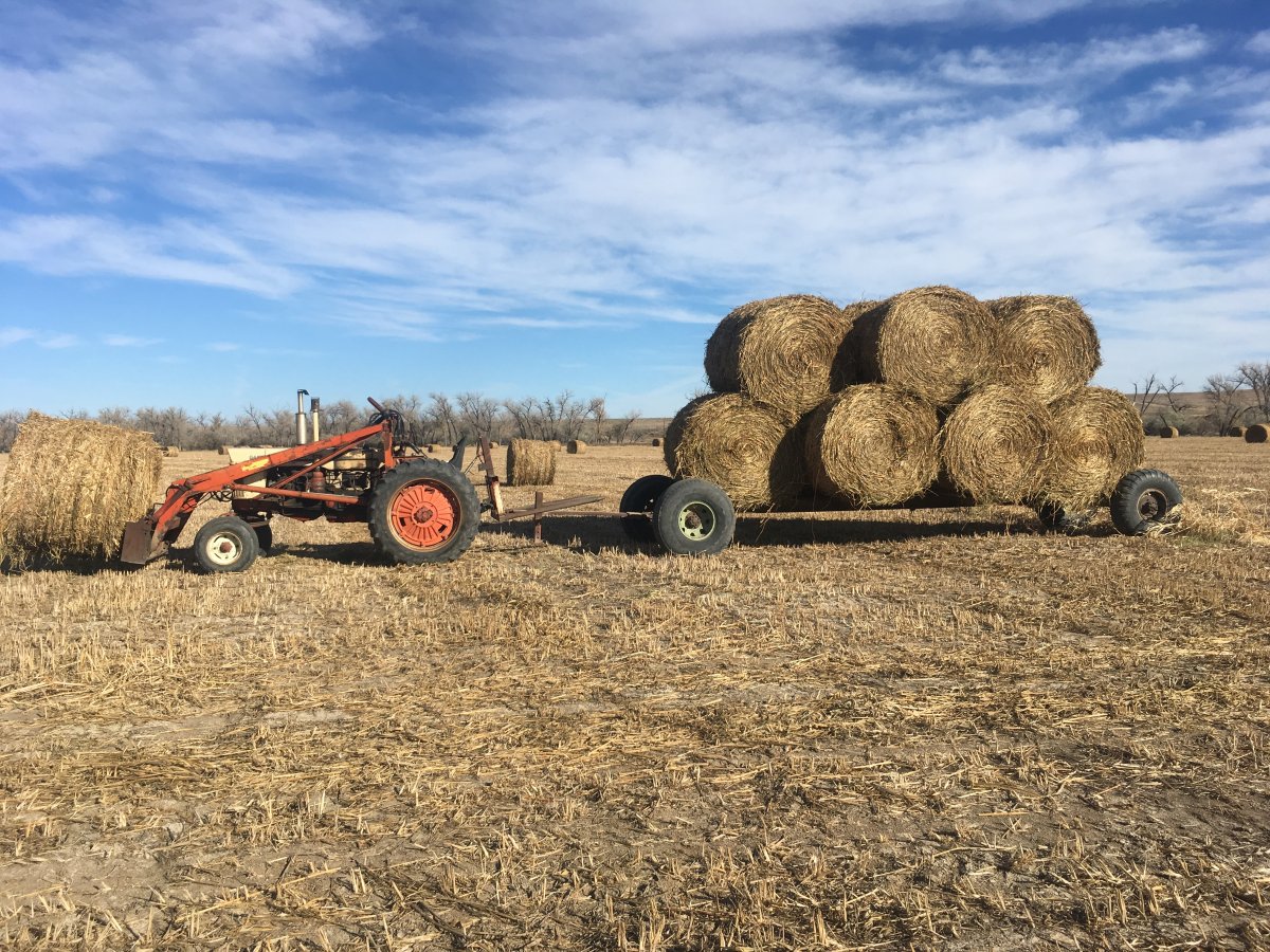 Haying pictures - General Chat - Red Power Magazine Community