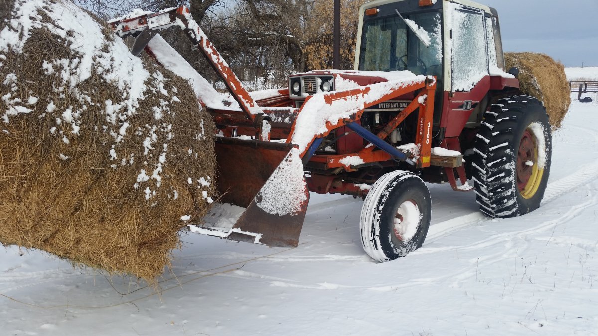 Chore Tractors - Page 4 - General Chat - Red Power Magazine Community