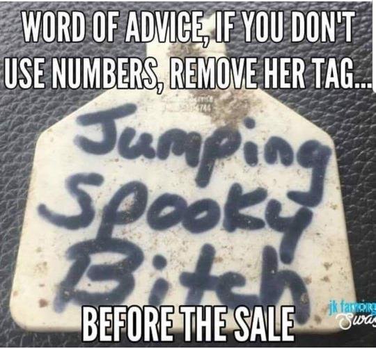 Singular Form of Cattle - Page 3 - General Chat - Red Power Magazine ...