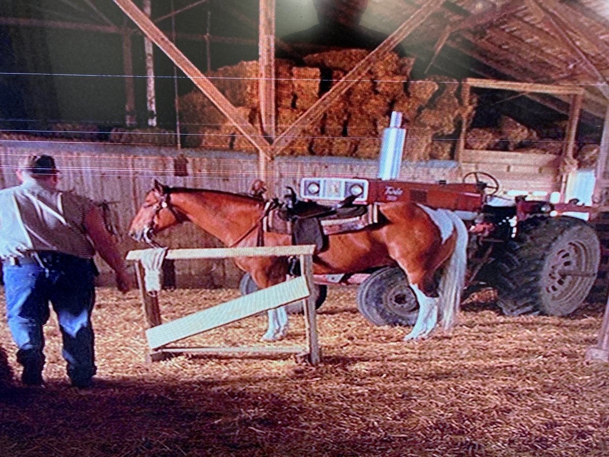 IH in witless protection - General Chat - Red Power Magazine Community