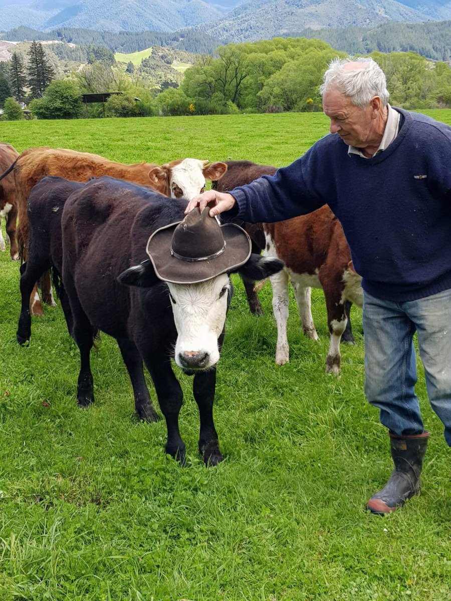 starting and raising beef cattle - General Chat - Red Power Magazine ...