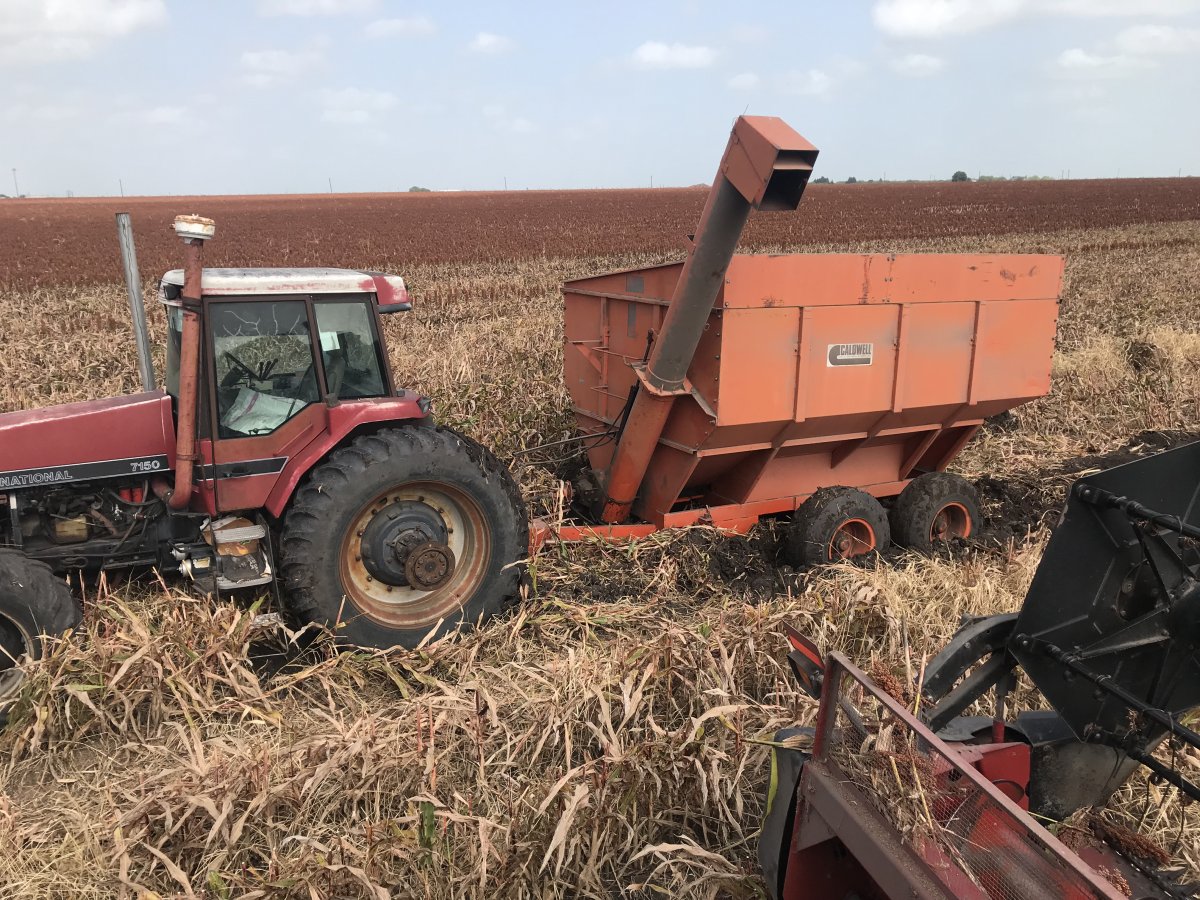 Milo Harvest, South Texas - General Chat - Red Power Magazine Community