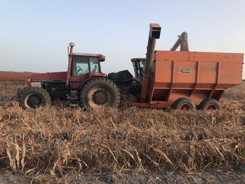 Milo Harvest, South Texas - General Chat - Red Power Magazine Community