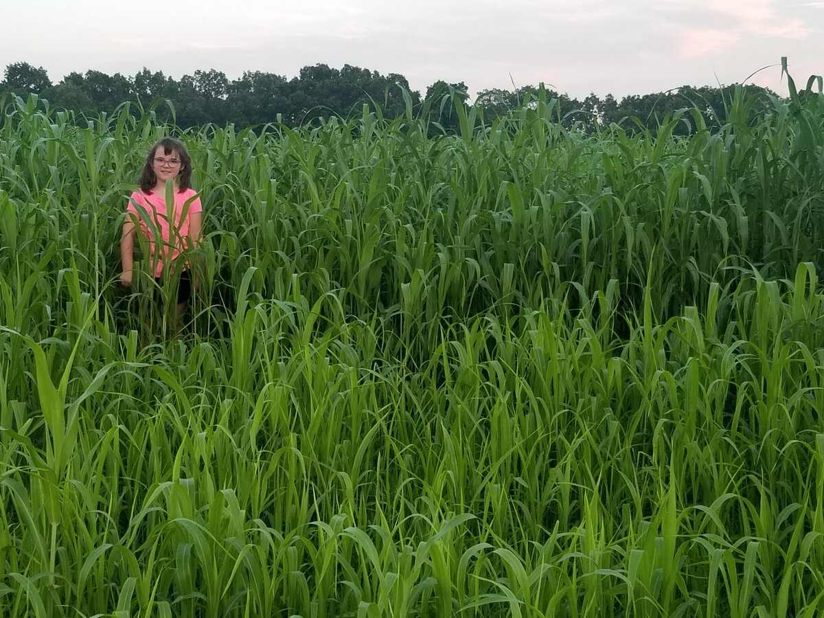 Hay Pics - General Chat - Red Power Magazine Community