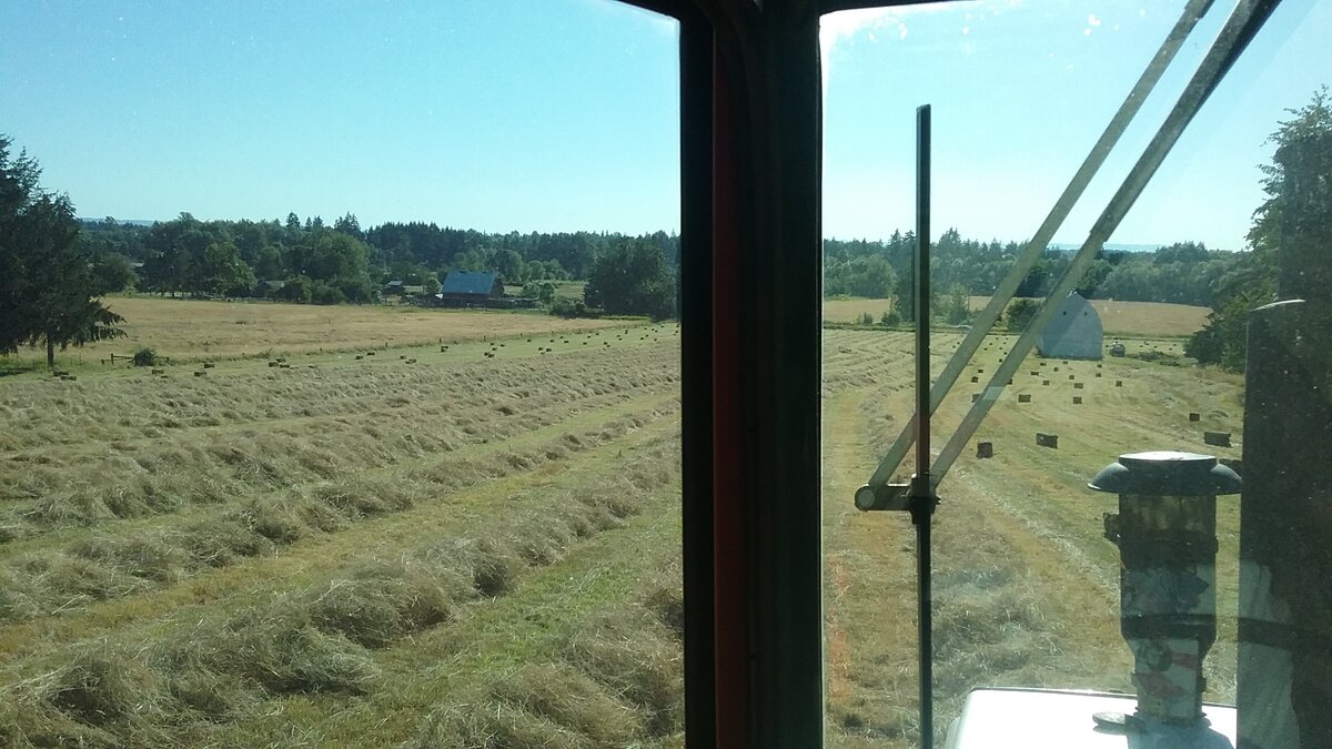 Hay Pics - General Chat - Red Power Magazine Community