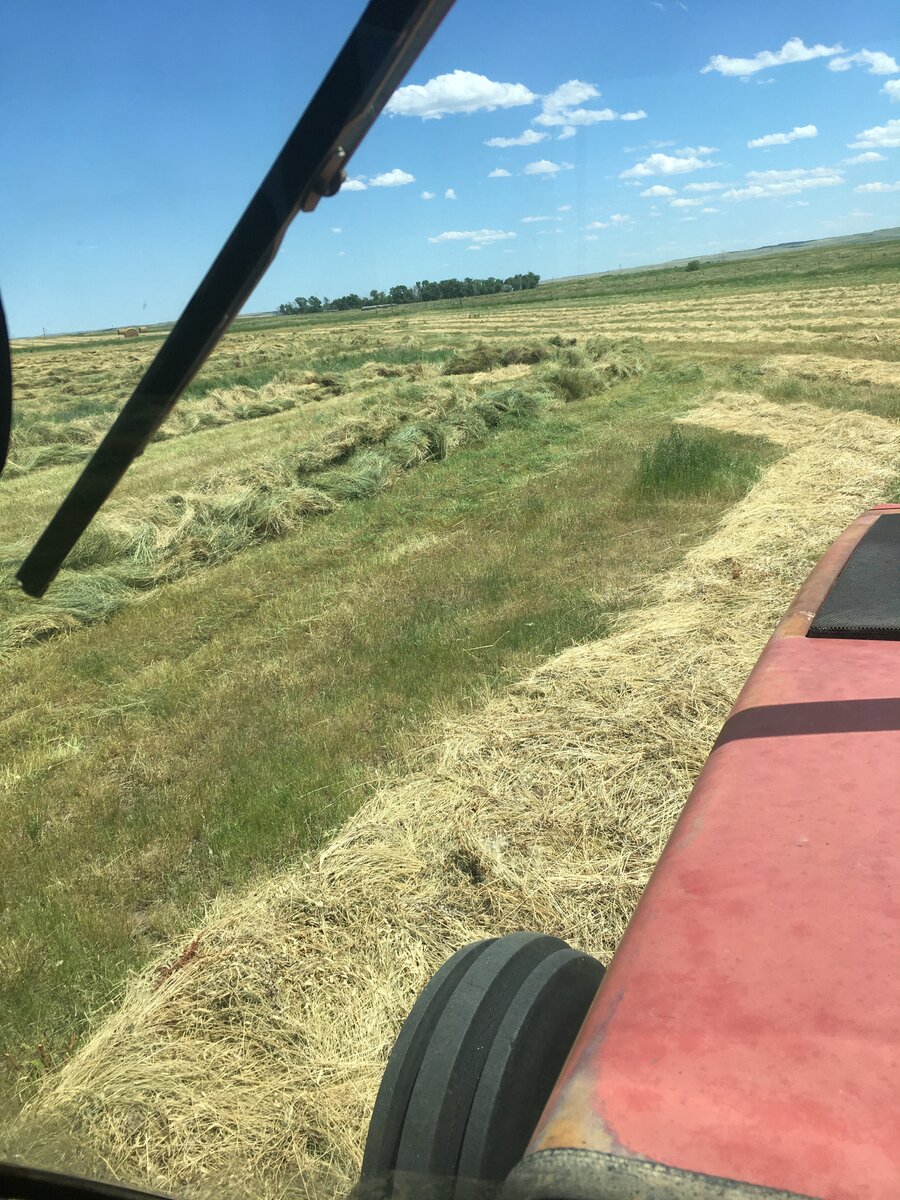 Hay Pics - General Chat - Red Power Magazine Community