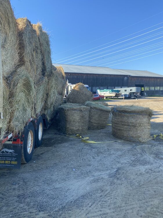 Hay Hauling - General Chat - Red Power Magazine Community
