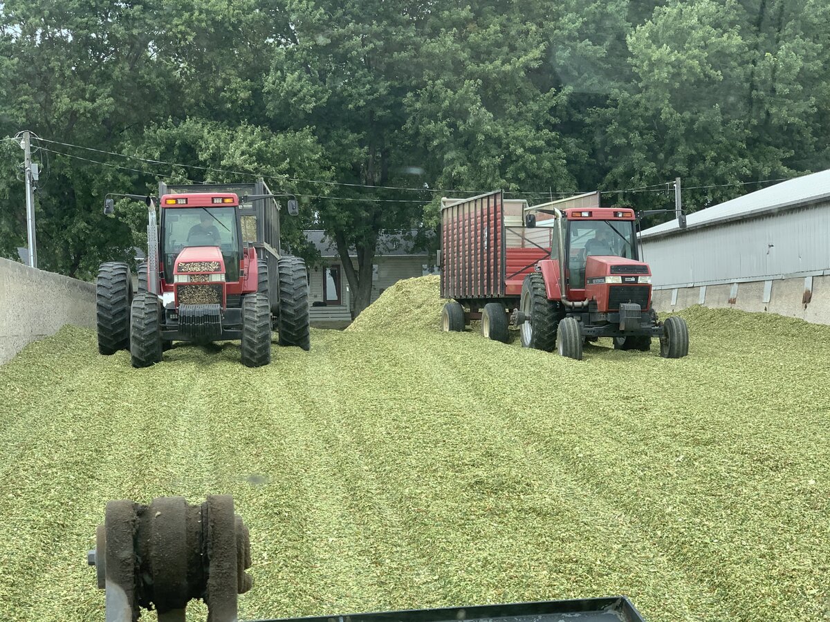 A pair of 7140s unloading silage. - General Chat - Red Power Magazine ...