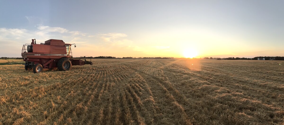 2020 crop pics - Page 11 - General Chat - Red Power Magazine Community