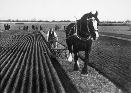 Highly skilled ploughman - General Chat - Red Power Magazine Community