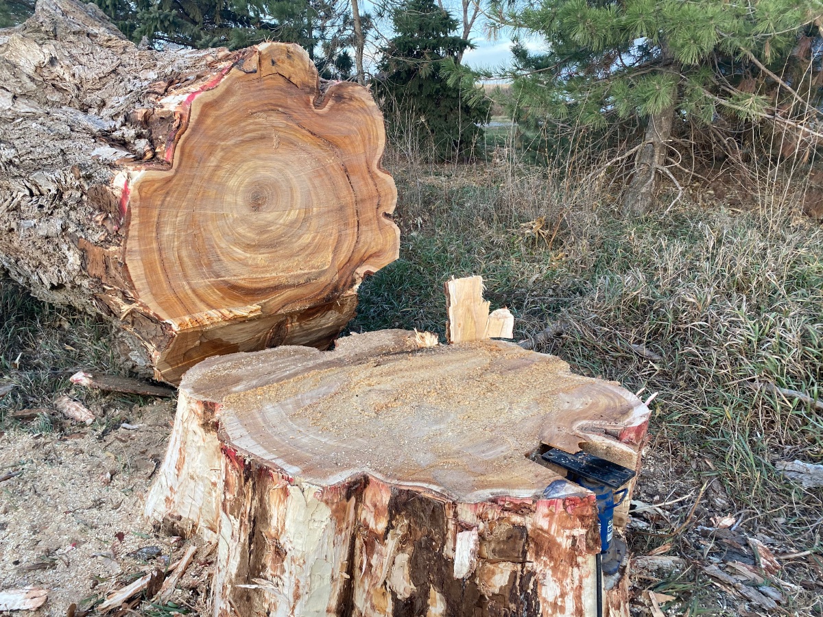 TIMBER !!!!!!! - General Chat - Red Power Magazine Community