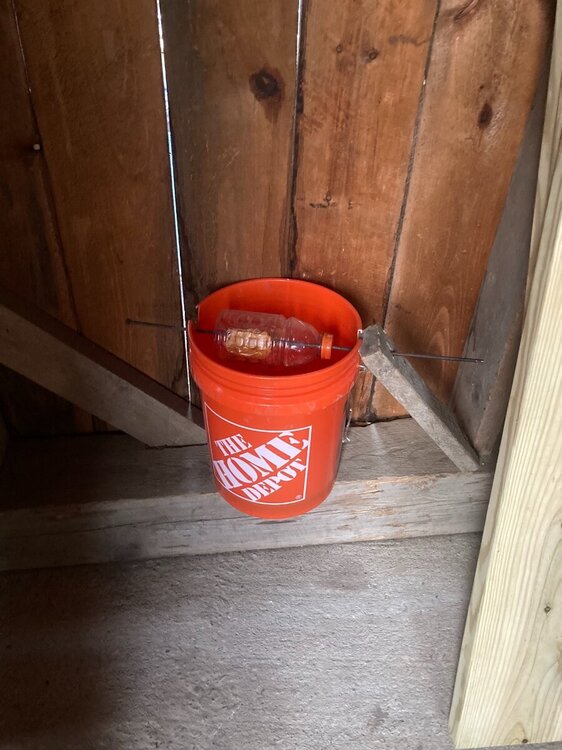 Bucket traps - General Chat - Red Power Magazine Community