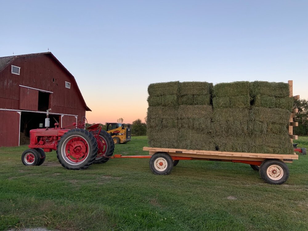 Best hay wagon designs/ideas - Page 2 - General Chat - Red Power ...