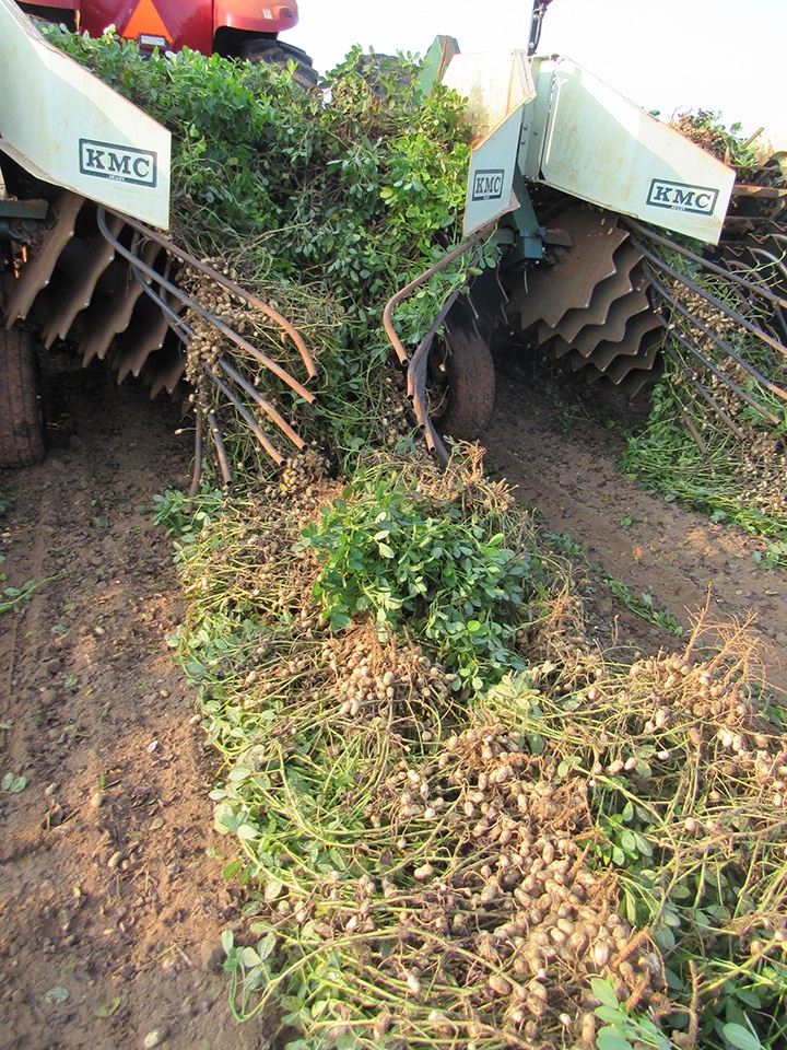 Yankee farmer goes to Dallas - General Chat - Red Power Magazine Community