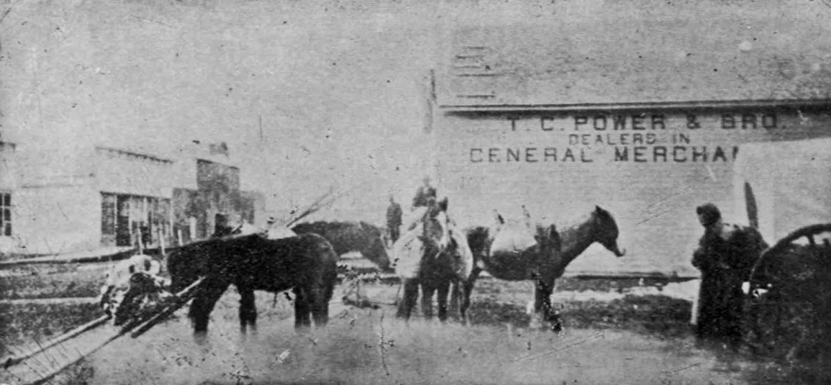 IH Tractors on Montana Farm - Page 902 - General Chat - Red Power ...