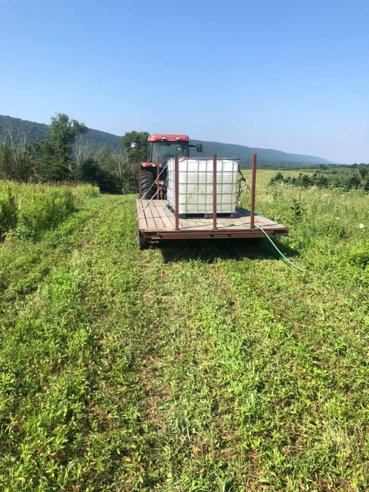 2021 crop pics - General Chat - Red Power Magazine Community