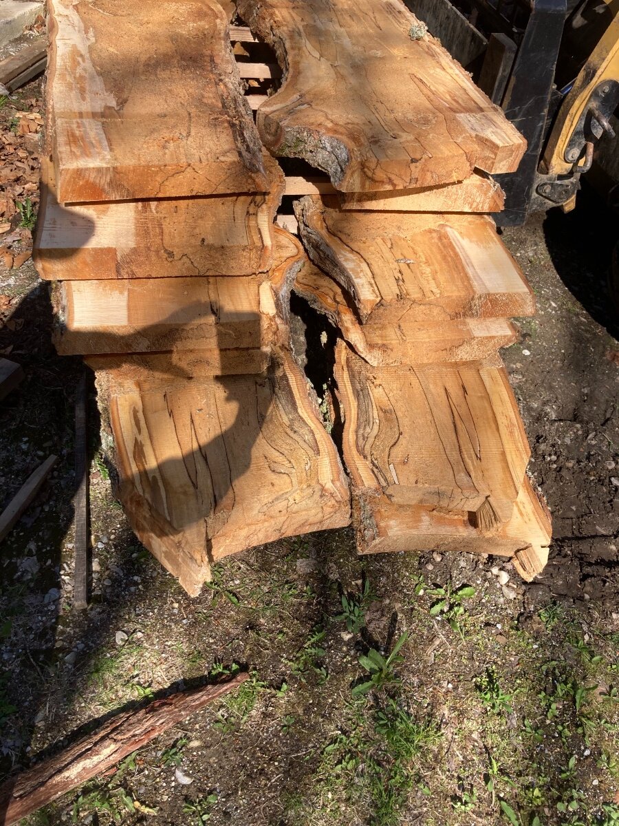 Sugar Maple Slabs - General Chat - Red Power Magazine Community