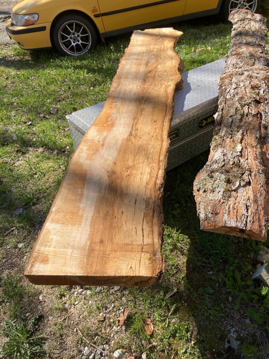 Sugar Maple Slabs - General Chat - Red Power Magazine Community