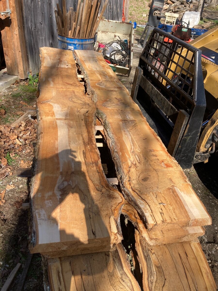 Sugar Maple Slabs - General Chat - Red Power Magazine Community