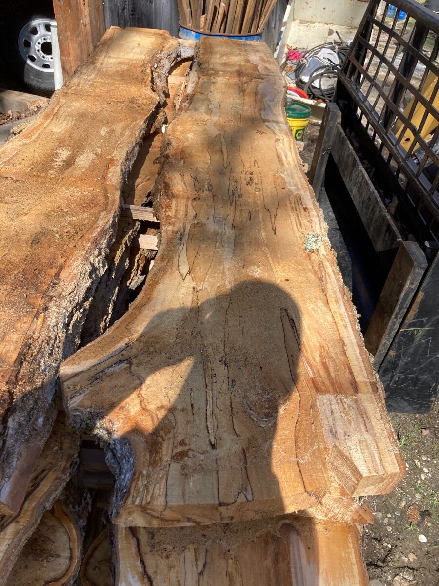 Sugar Maple Slabs - General Chat - Red Power Magazine Community