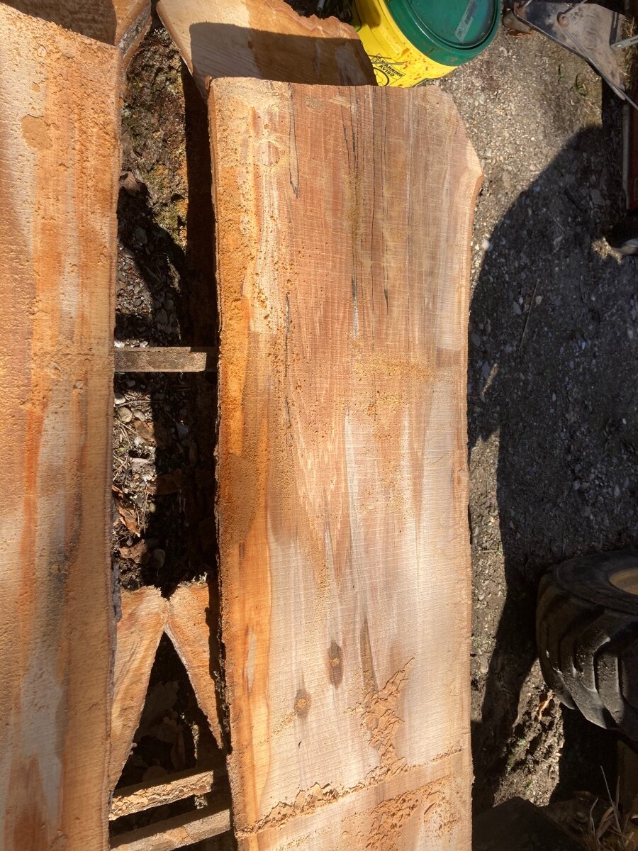 Sugar Maple Slabs - General Chat - Red Power Magazine Community