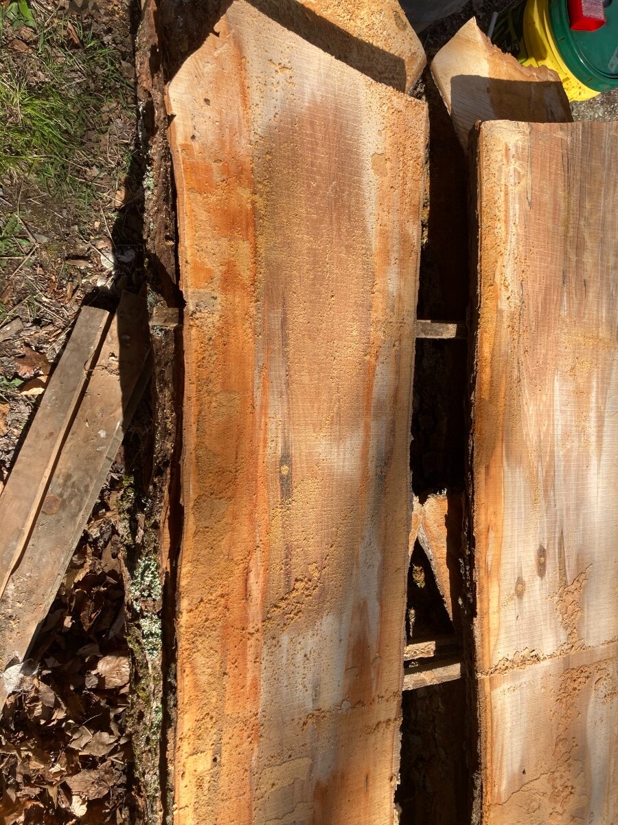 Sugar Maple Slabs - General Chat - Red Power Magazine Community