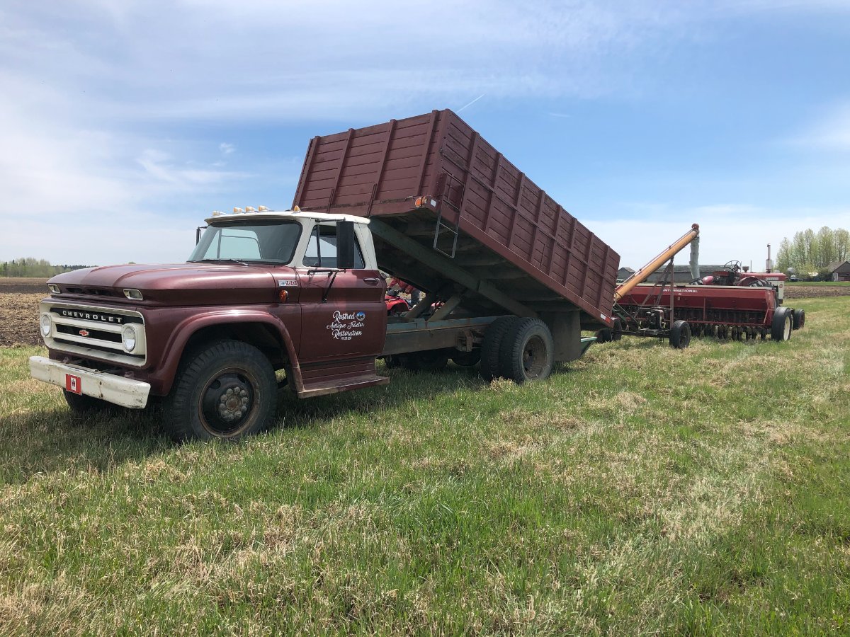 Farmall 560 diesel frozen in time. - Projects, Builds, & Restorations ...