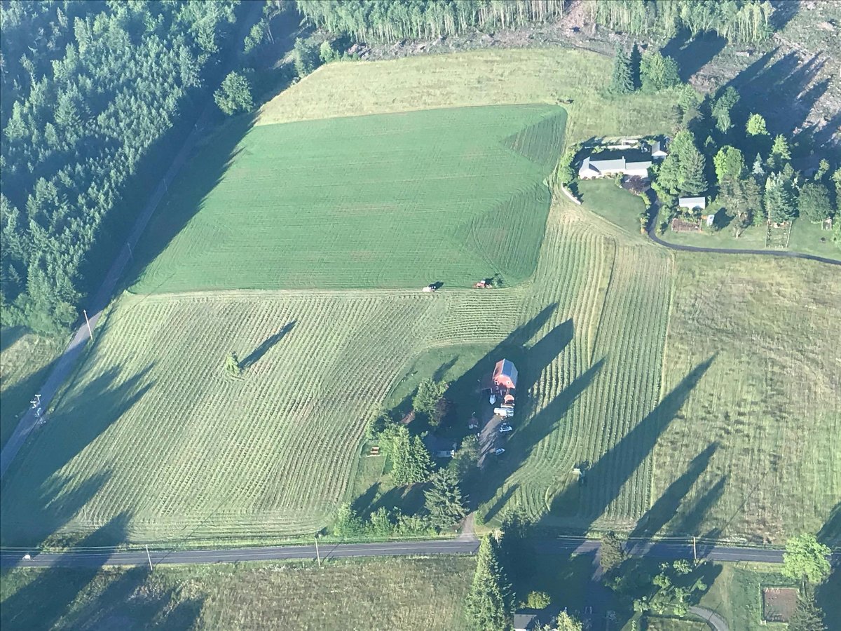 Cutting hay view from above - General Chat - Red Power Magazine Community