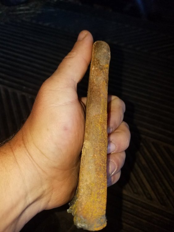 Rock Picker teeth. - General Chat - Red Power Magazine Community