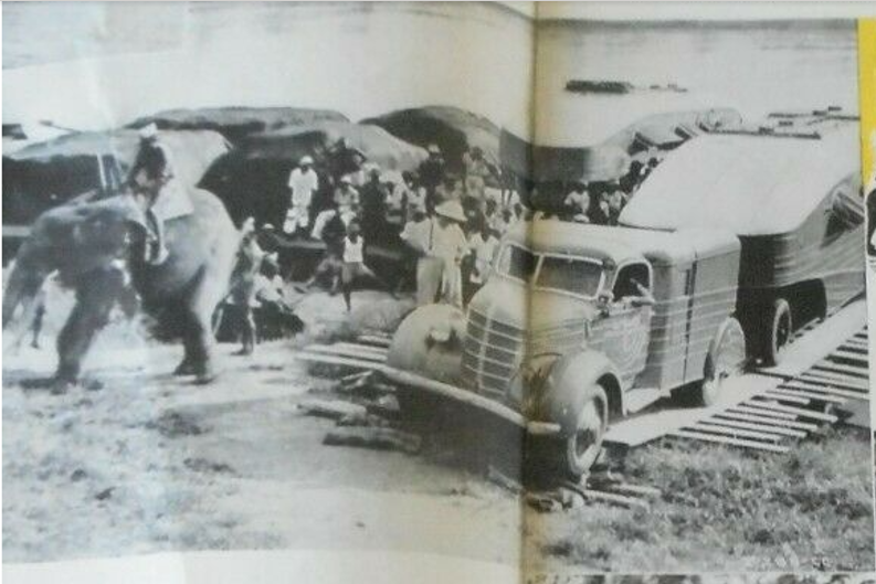 IHC Jungle Yacht - General Chat - Red Power Magazine Community