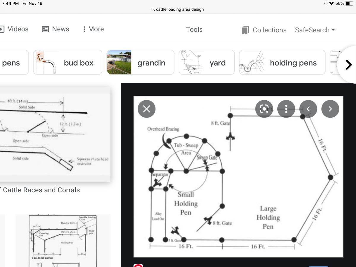 Cattle loading ideas - General Chat - Red Power Magazine Community