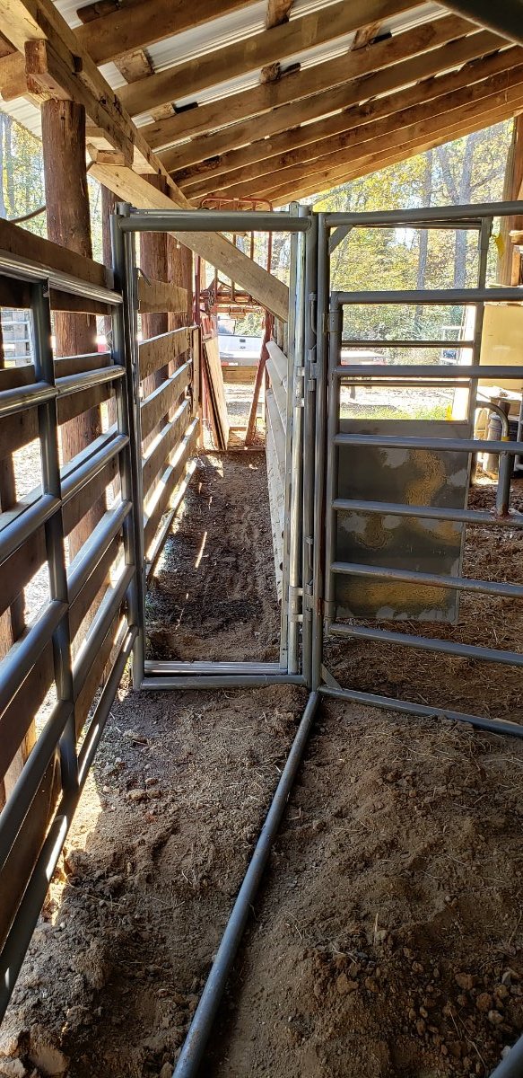 Cattle loading ideas - General Chat - Red Power Magazine Community