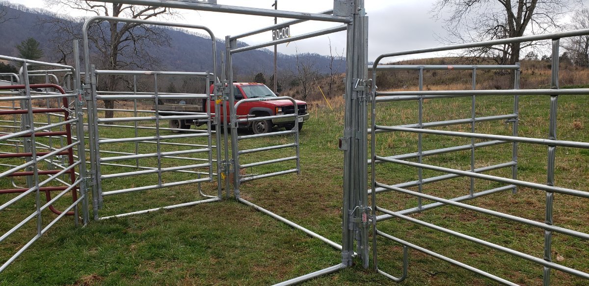 Cattle loading ideas - General Chat - Red Power Magazine Community